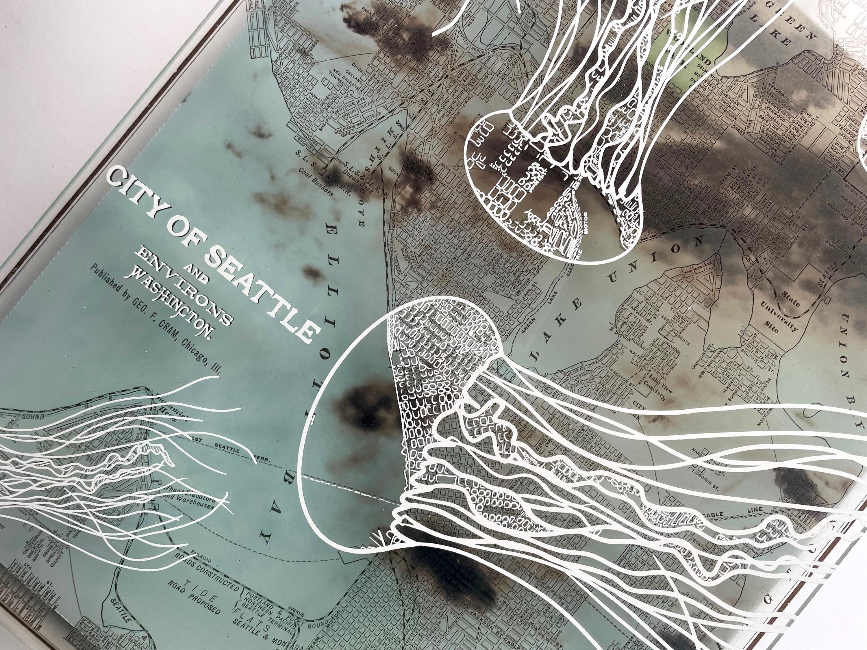 Vintage 1898 Seattle Map, Jellyfish Art, Illustration Hand-drawn Mixed ...