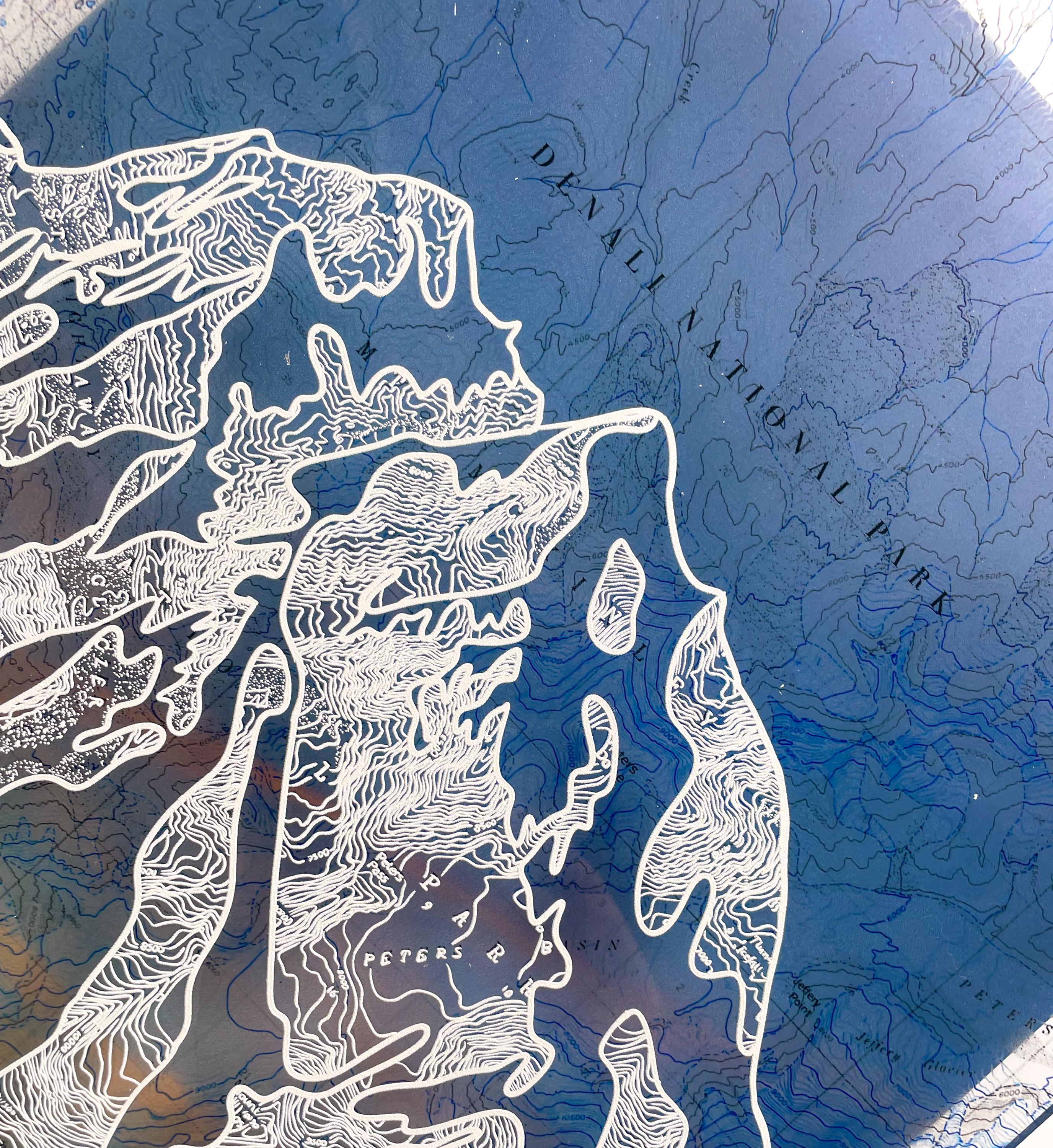 Denali / Mt. Mckinley - Illustrated Map Art, Made With Plexiglass, Ink ...