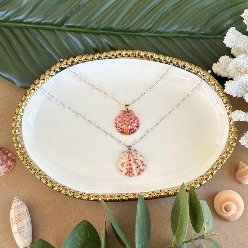 Real Seashell Necklace - Etsy