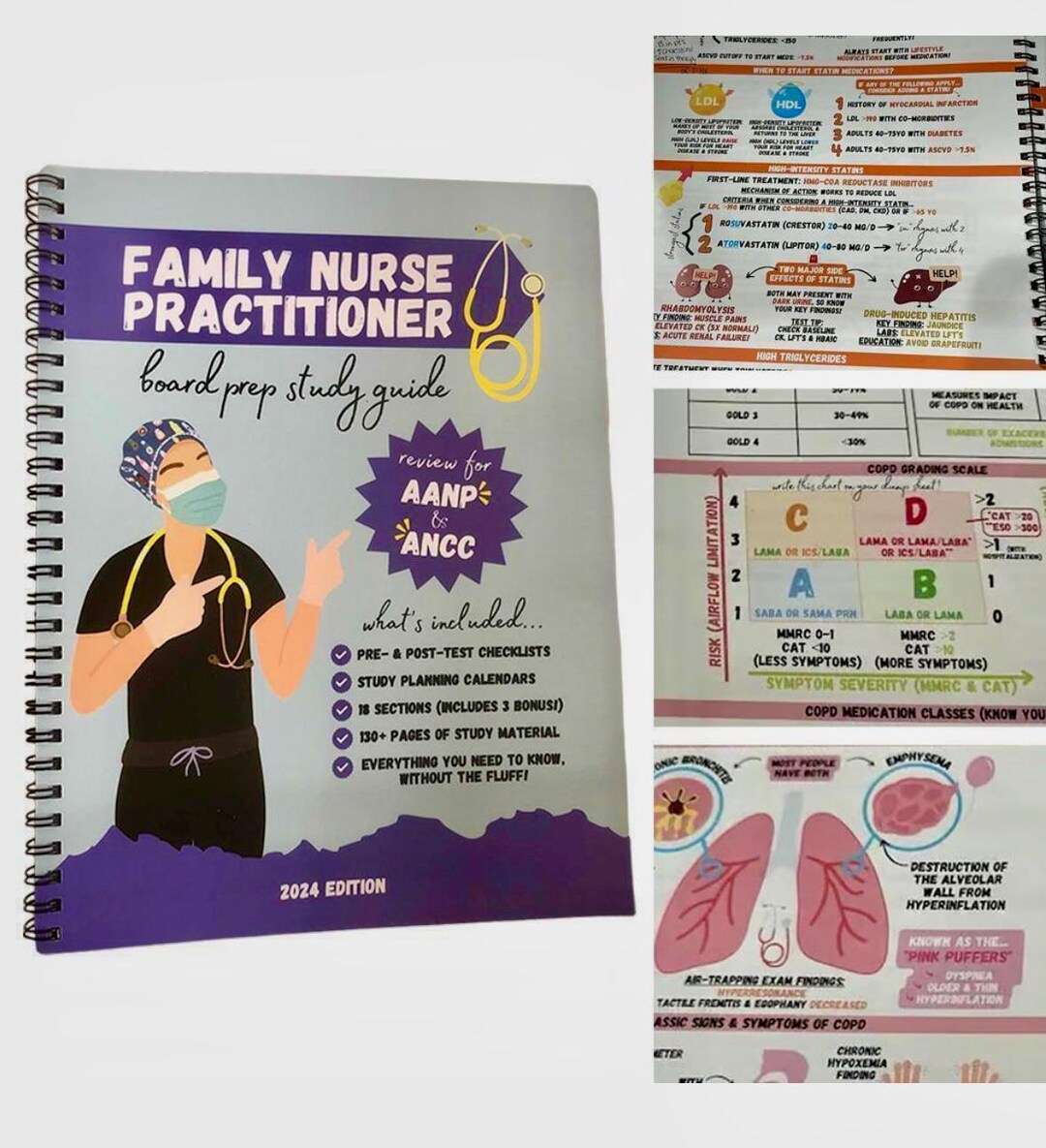 Family Nurse Practitioner Board Prep Study Guide - Etsy