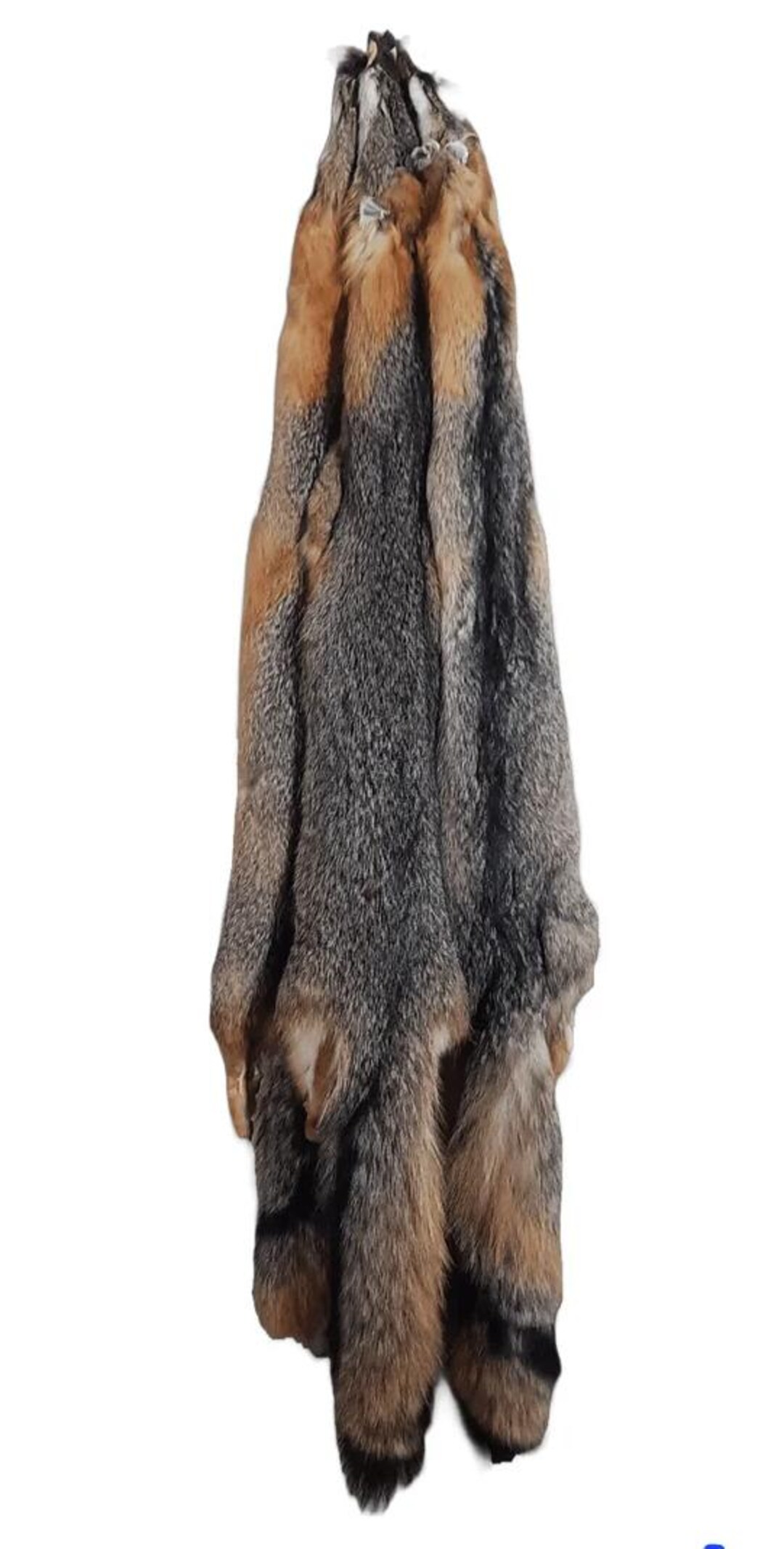 Tanned Grey Fox – Premium Select Heavy Grade Quality Fur for Display ...