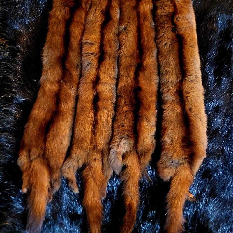 Mink Pelt - Etsy