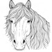 Horse Head Designed to Be Colored by Adults or Kids Relaxing Calming - Etsy