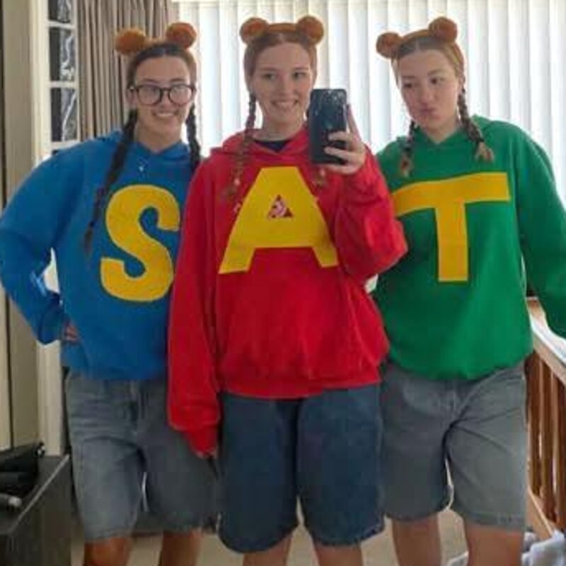 Simon Chipmunk Costume - Etsy