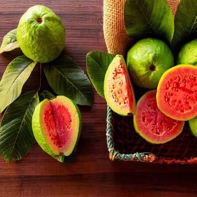 Ruby Supreme Guava Tree - Etsy