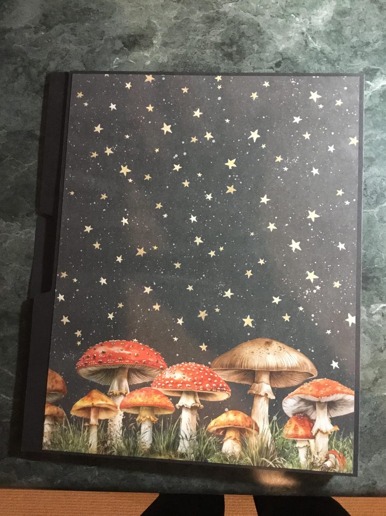 Extra Large File Folder Style Scrapbook Album - Etsy