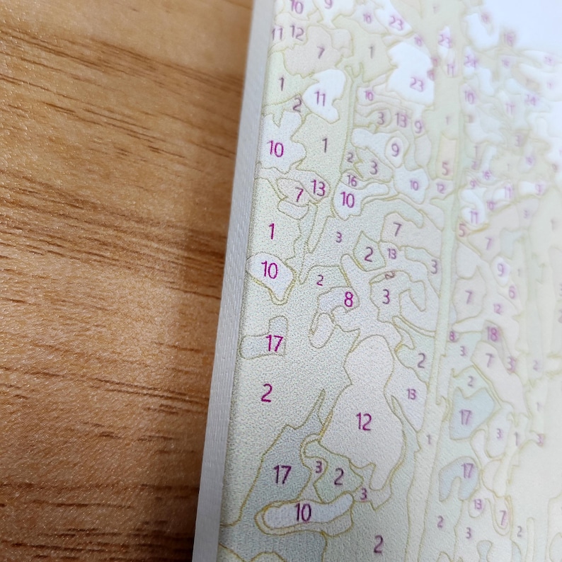 Full Moon Paint by Number Kit: Dreamlike Midnight Scene, DIY Canvas Art ...