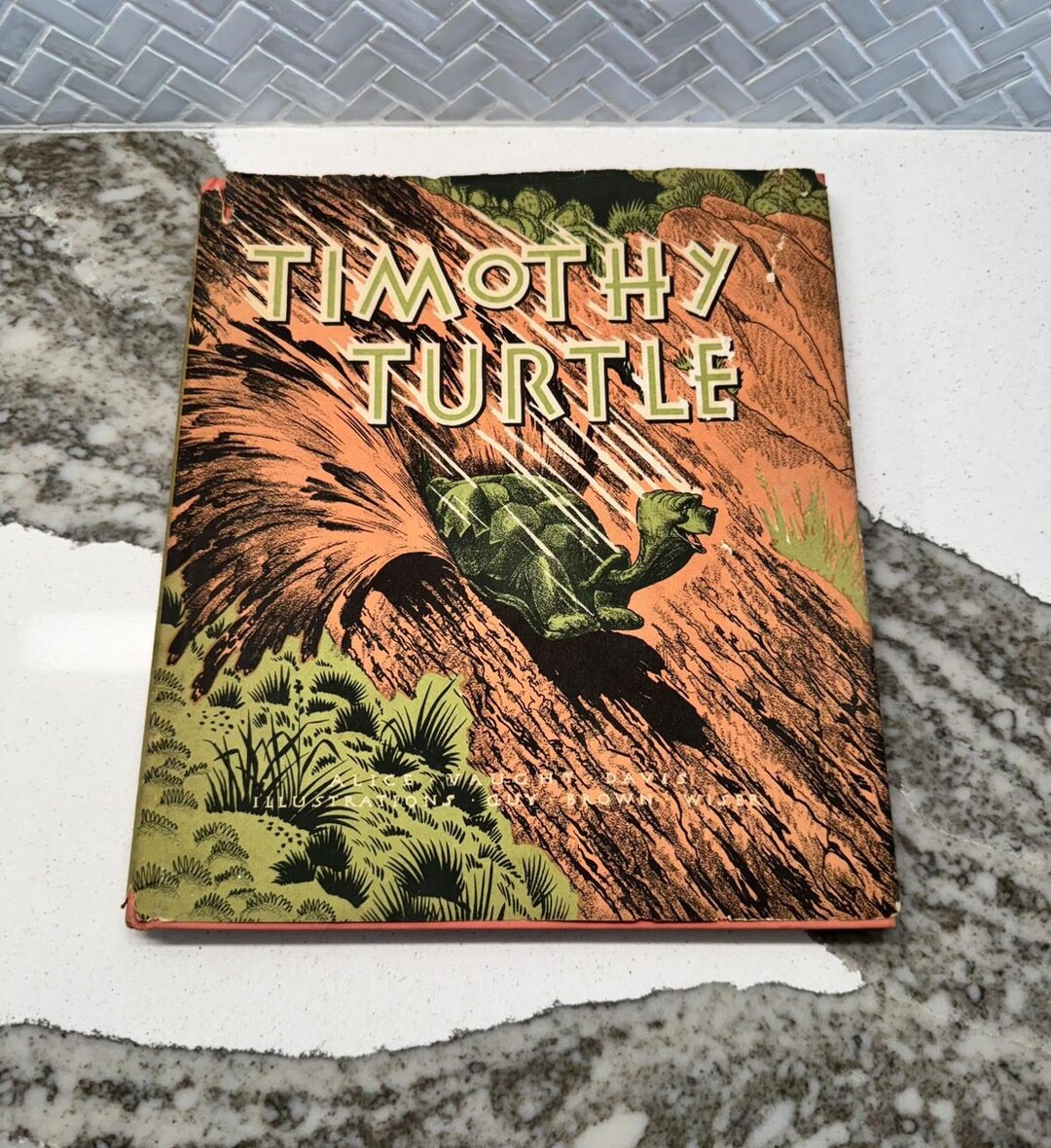 Timothy Turtle by Alice Vaught Davis 1940 Signed Harcourt Brace and ...