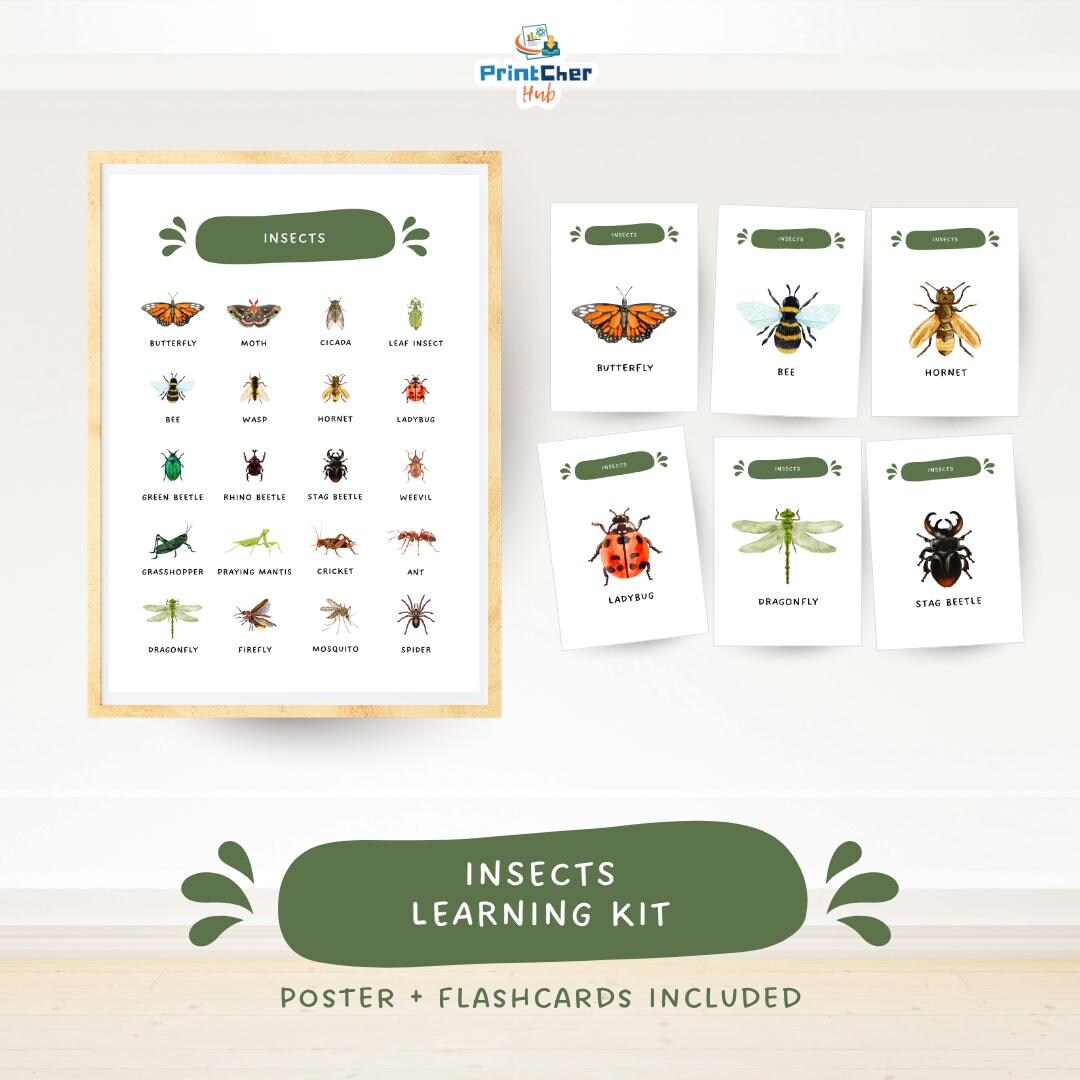 Insects: Animals Classification Learning Kit | Poster and Flashcards ...