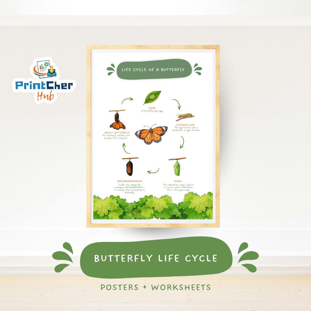 Butterfly Life Cycle Poster | Science Activity Pack, Montessori STEM ...