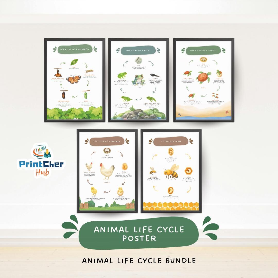Animal Life Cycle Posters Bundle | Butterfly, Frog, Chicken, Bee ...