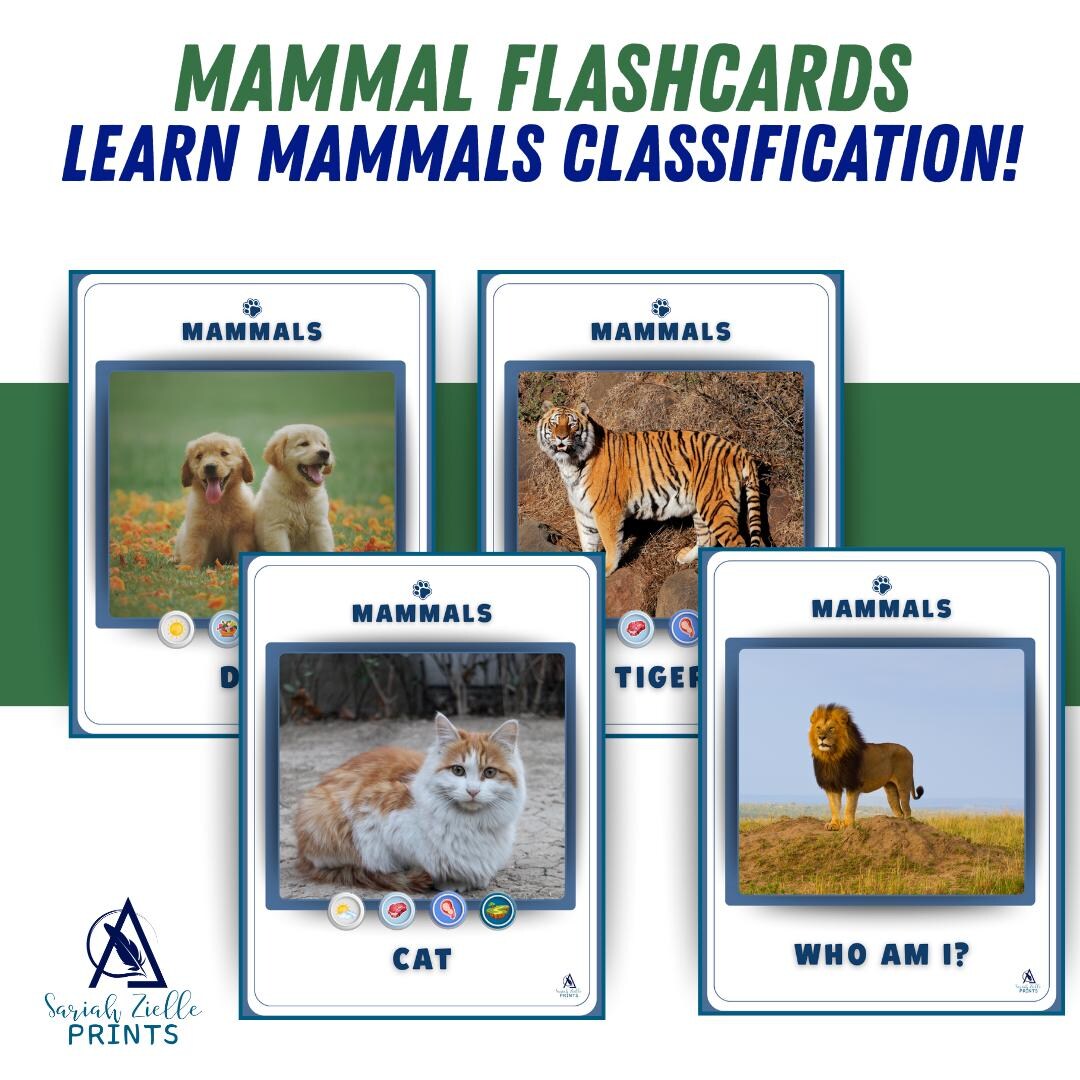 90 Mammal Flashcards With Icons – Activity, Diet, Habitat & Birth ...