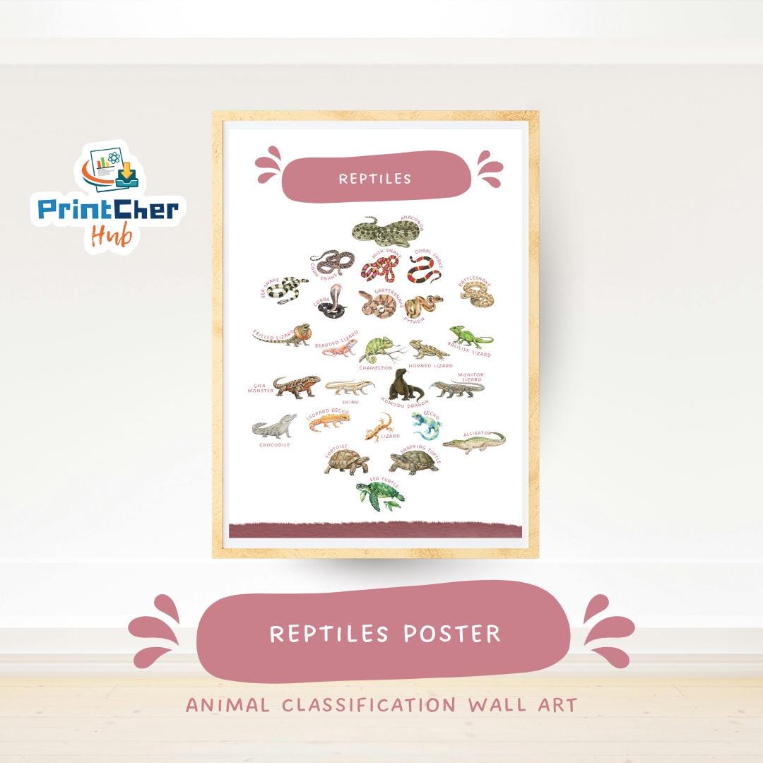 Reptile Animals Poster for Kids | Printable Classroom & Homeschool ...