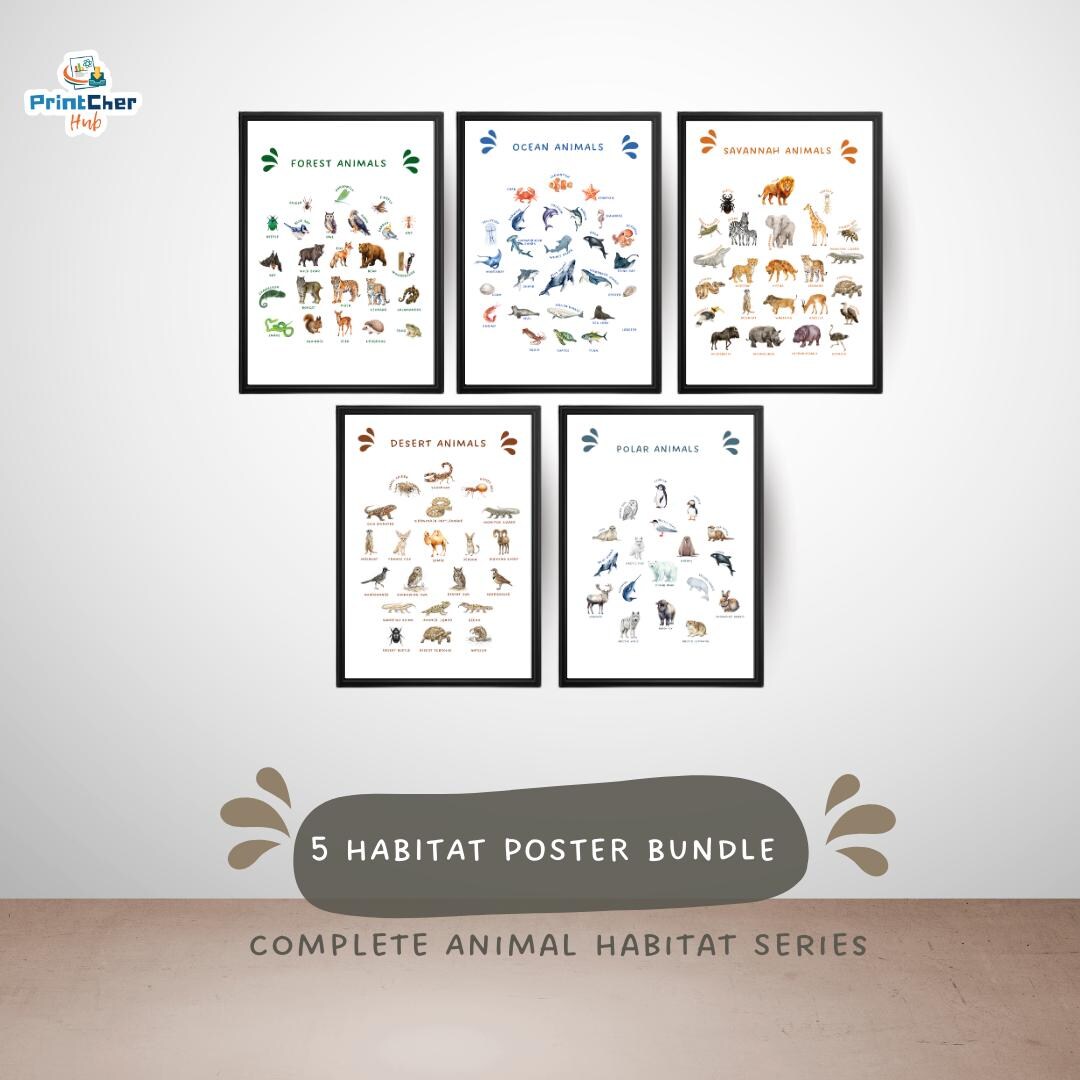 5 Animal Habitat Posters | Forest, Ocean, Desert, Polar, Savannah ...