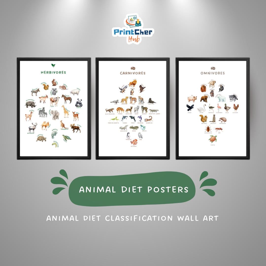 Animal Diet Posters Bundle | Herbivores, Carnivores, Omnivores Chart ...