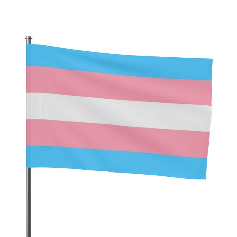 Transgender Pride Flag - Etsy