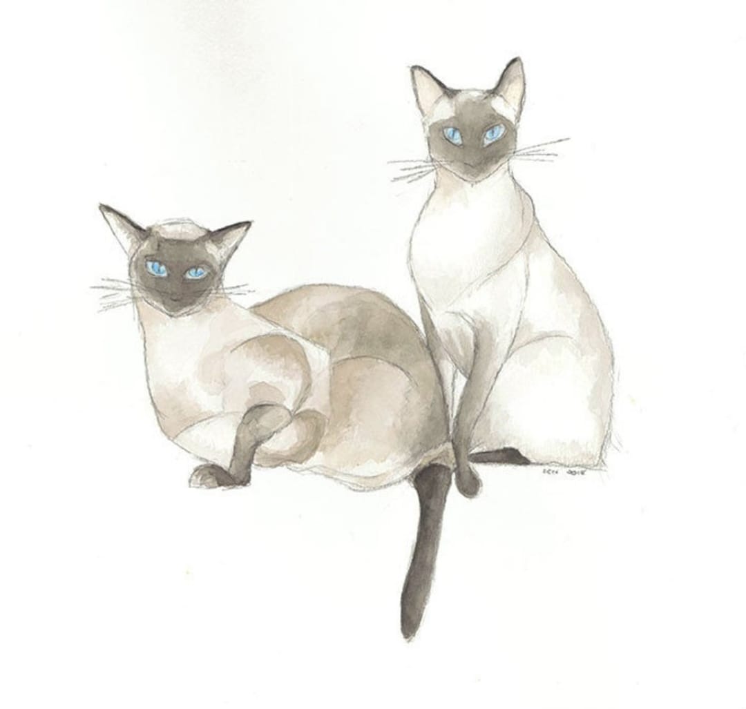 Siamese Cat Art-8"x10" Print of Original Watercolor-seal Point ...