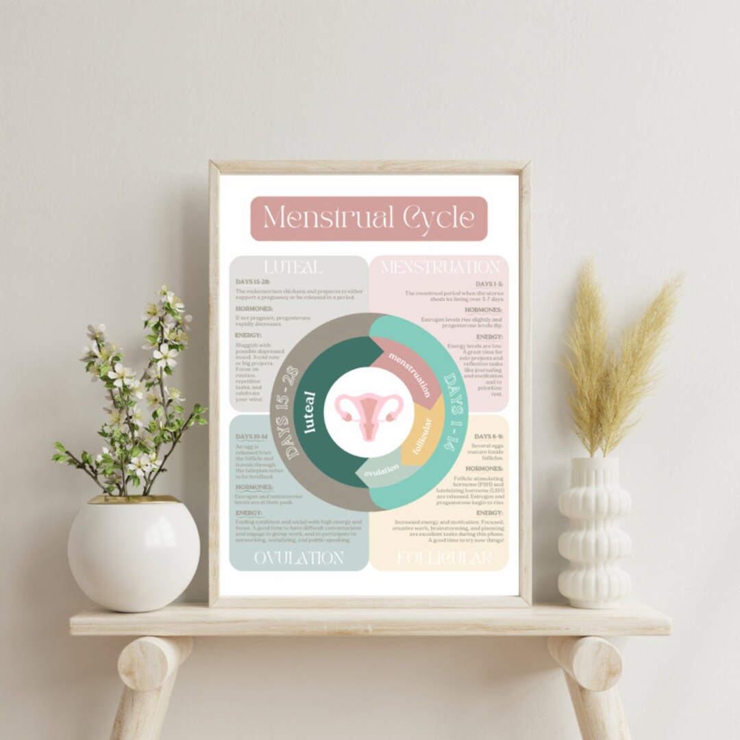 Four Phases of Women's Menstrual Cycle Diagram Cycle Syncing Planning ...