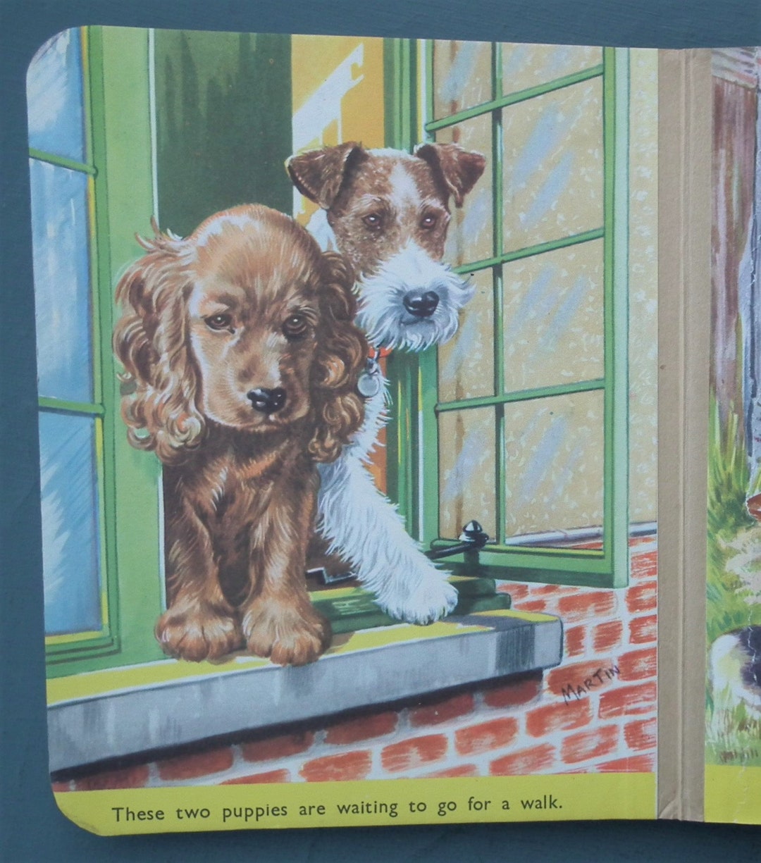 Animals A Look With Mother Book Vintage 1940s 1950s Children's Picture ...