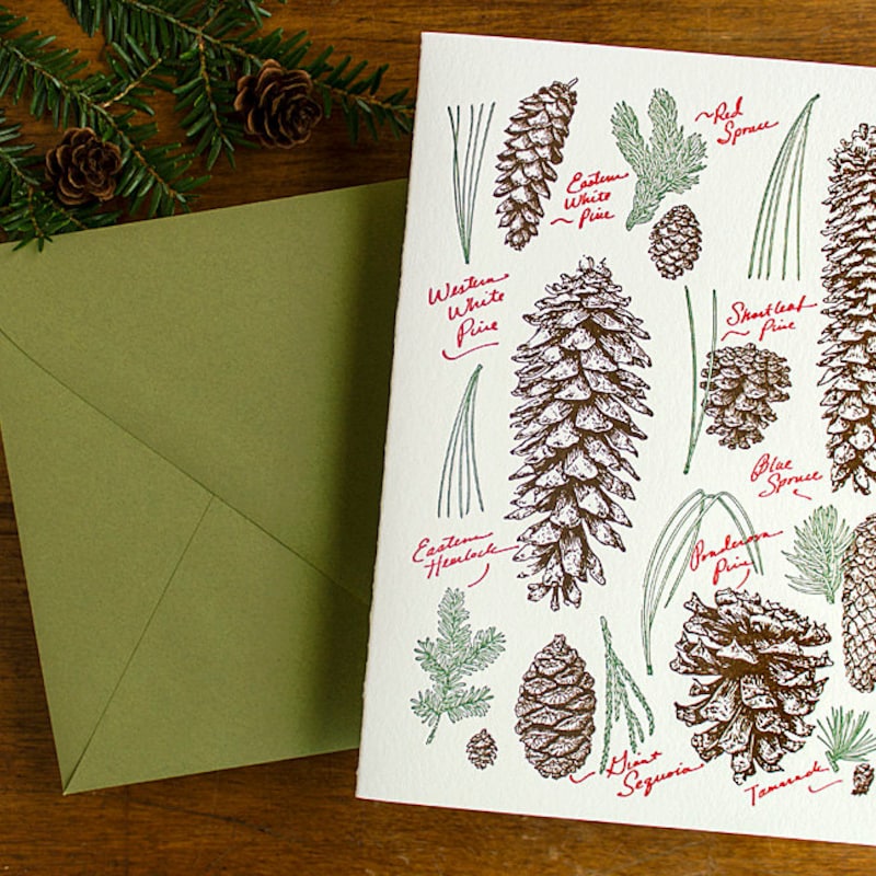 Non Religious Cards - Etsy