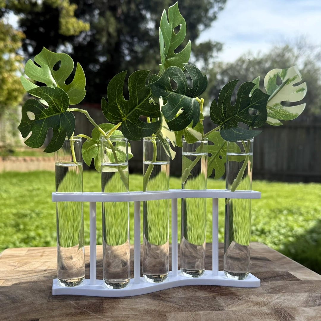 Minimalist S-curve Propagation Station Modern Plant Cutting Holder 5 ...