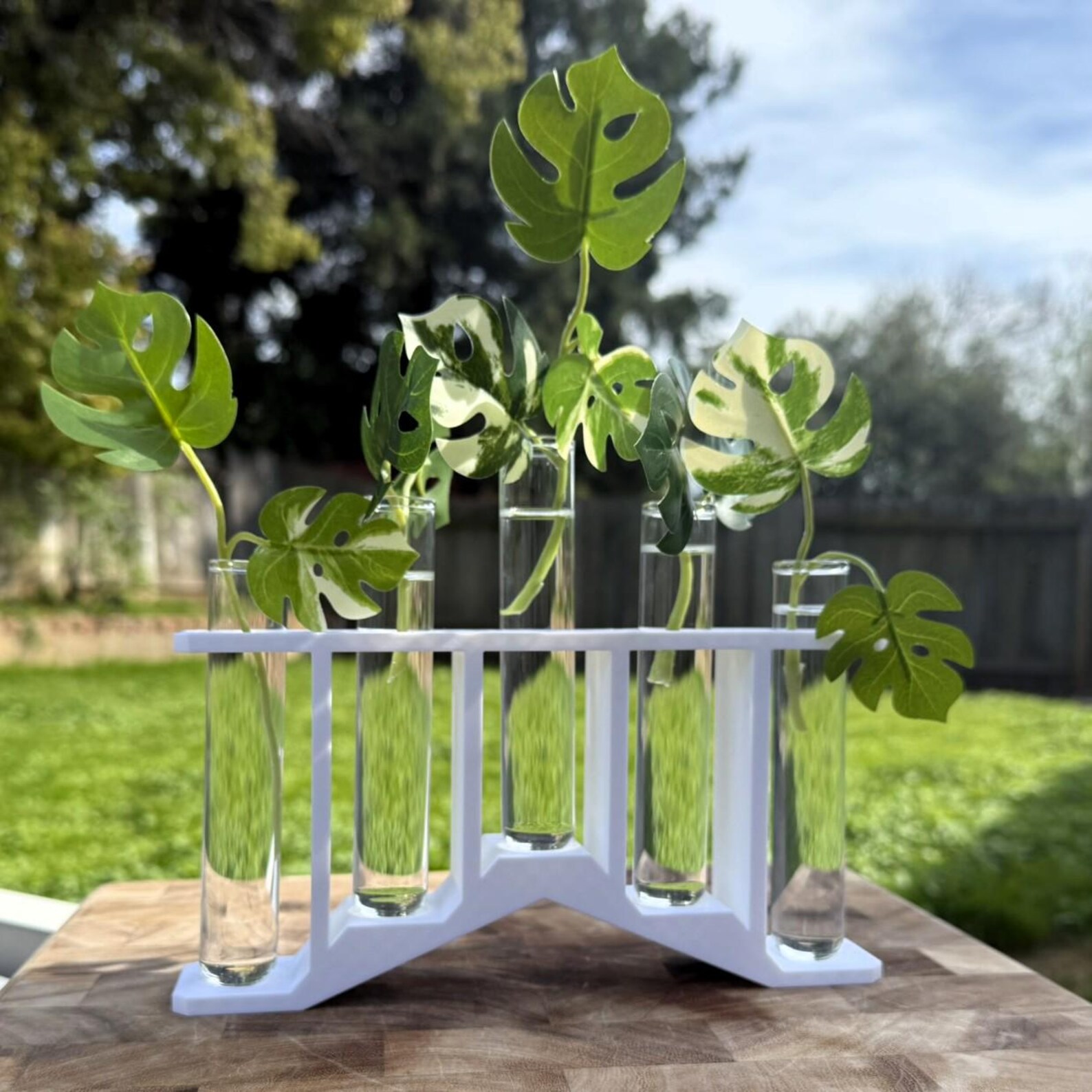 Pyramid Propagation Station: Modern Hydroponic Planter With Glass Vials ...