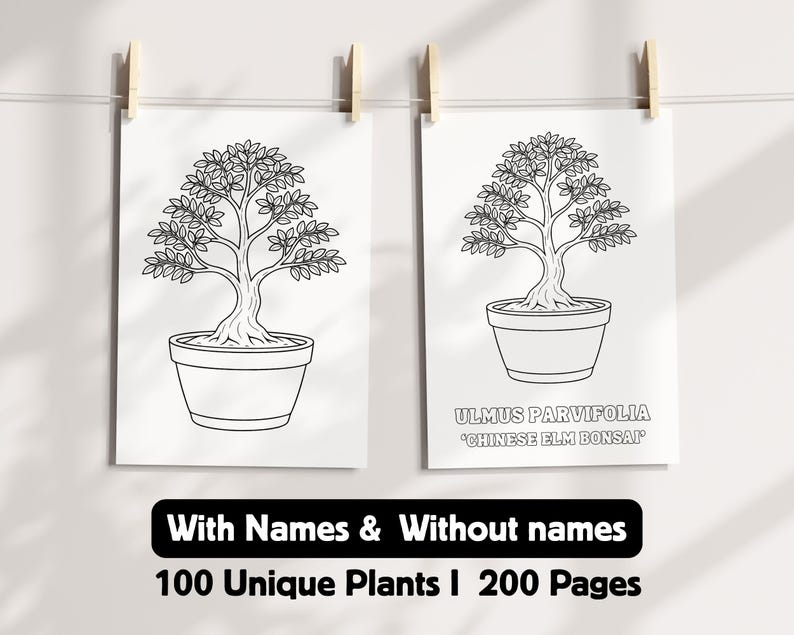 100 Labeled Plants Coloring Pages, Bold and Easy Designs for Learning ...