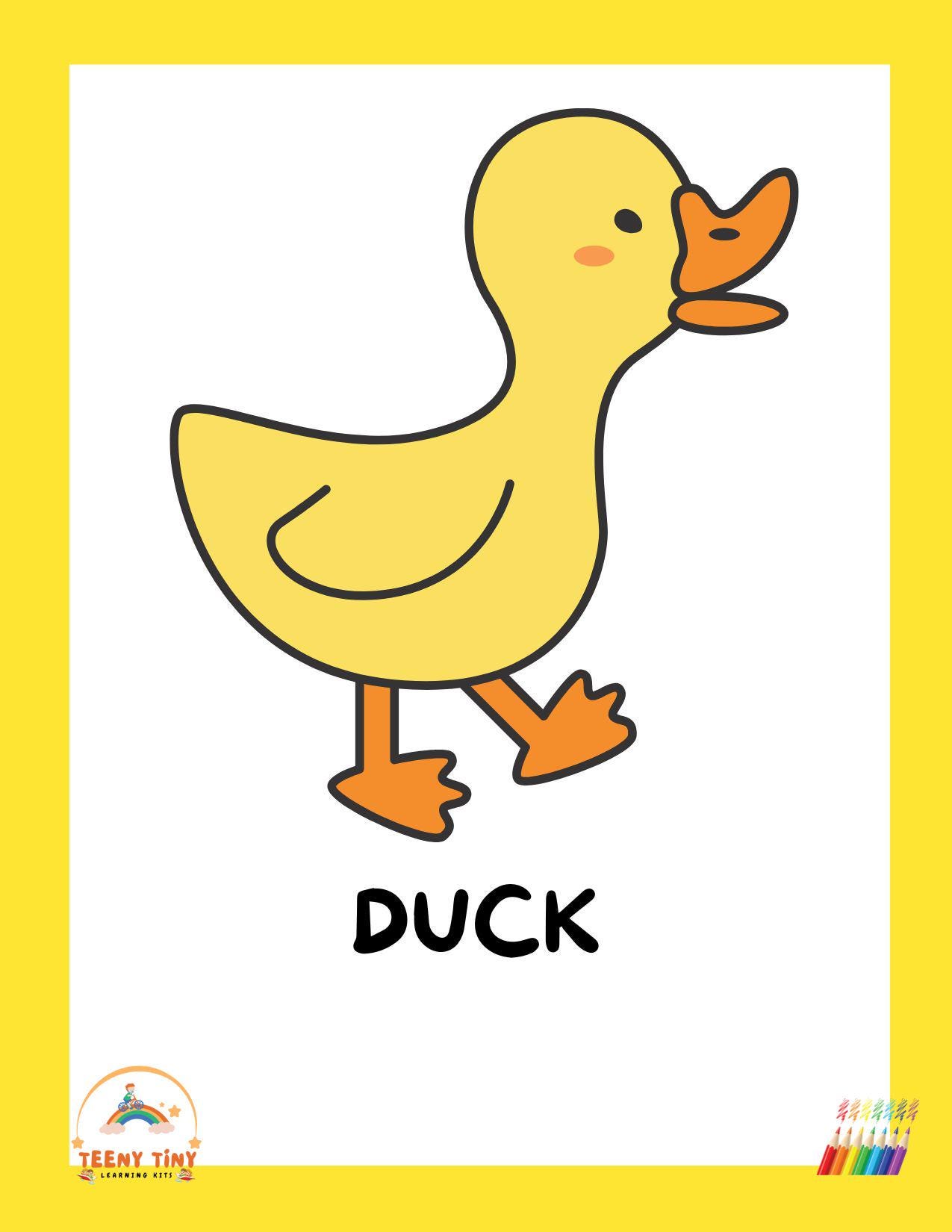 Jumbo Color Flashcards - Etsy