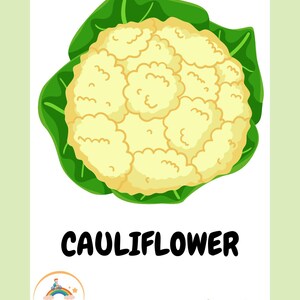 Vegetable Flashcards - Etsy
