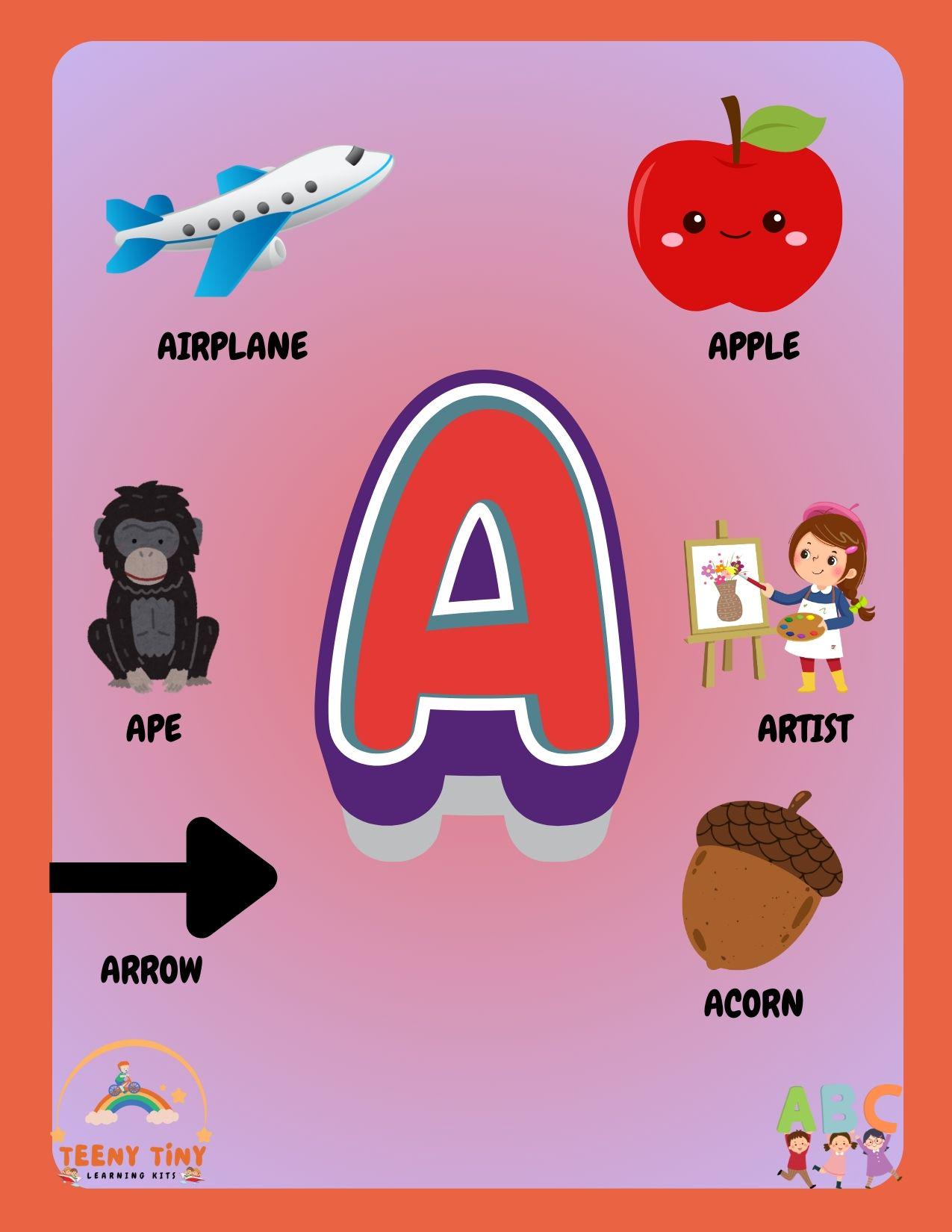 Jumbo Flashcards, Alphabet Flashcards - Etsy