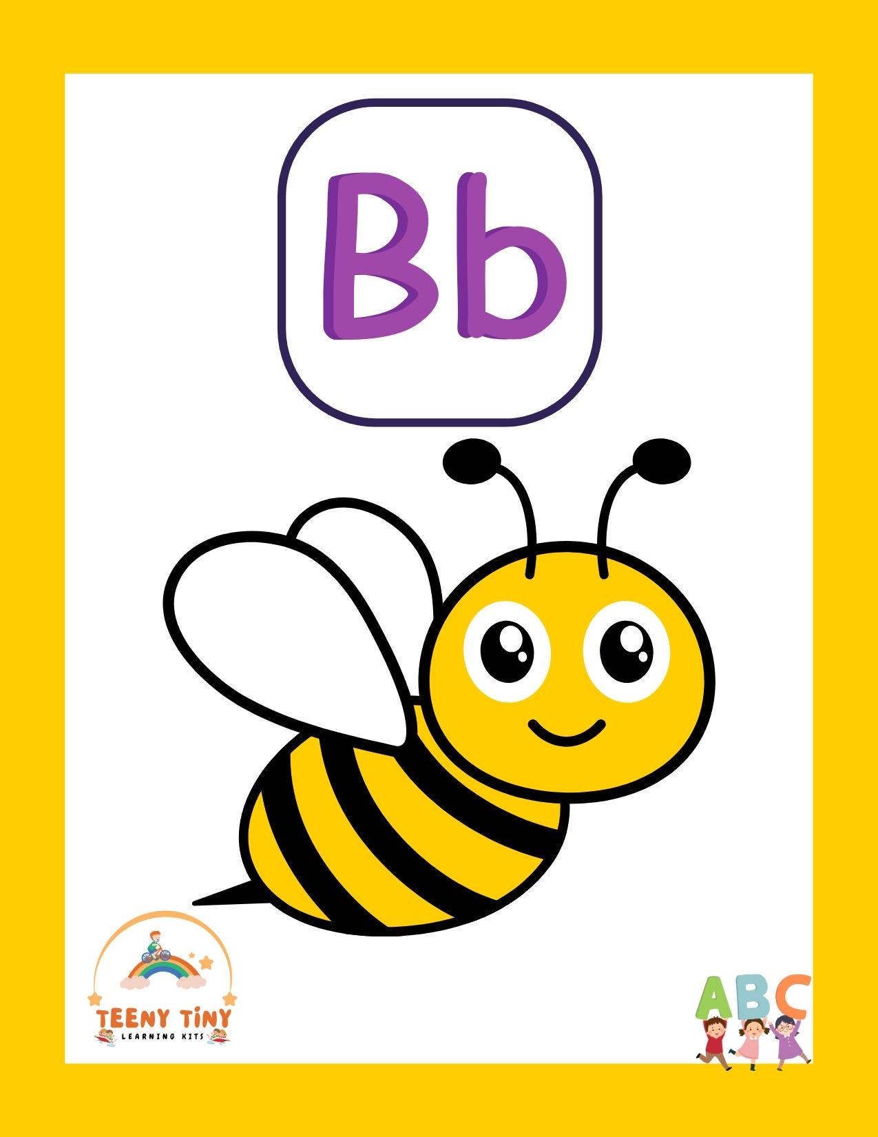 Jumbo Flashcards, Alphabet Flashcards - Etsy