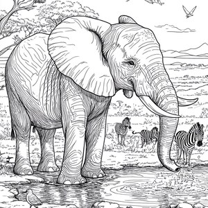 Colorful Safari: Jungle Coloring Book - Etsy