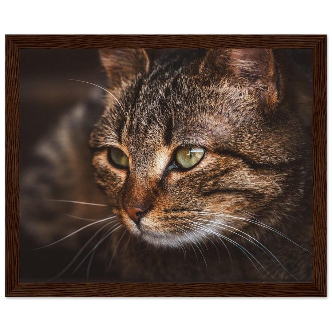 Cat Wall Design - Etsy