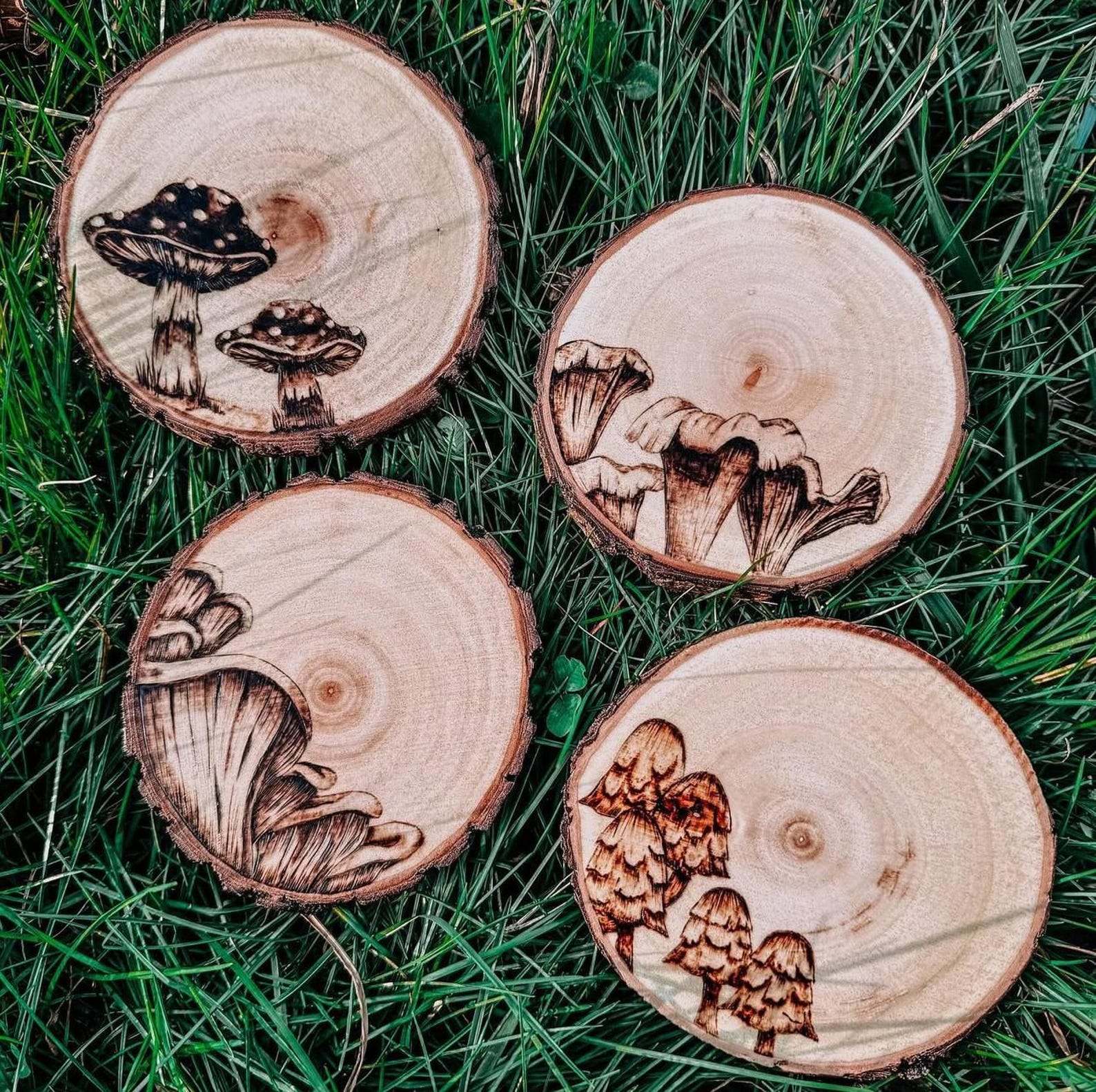 Hand Burned Mushroom Coasters - Etsy