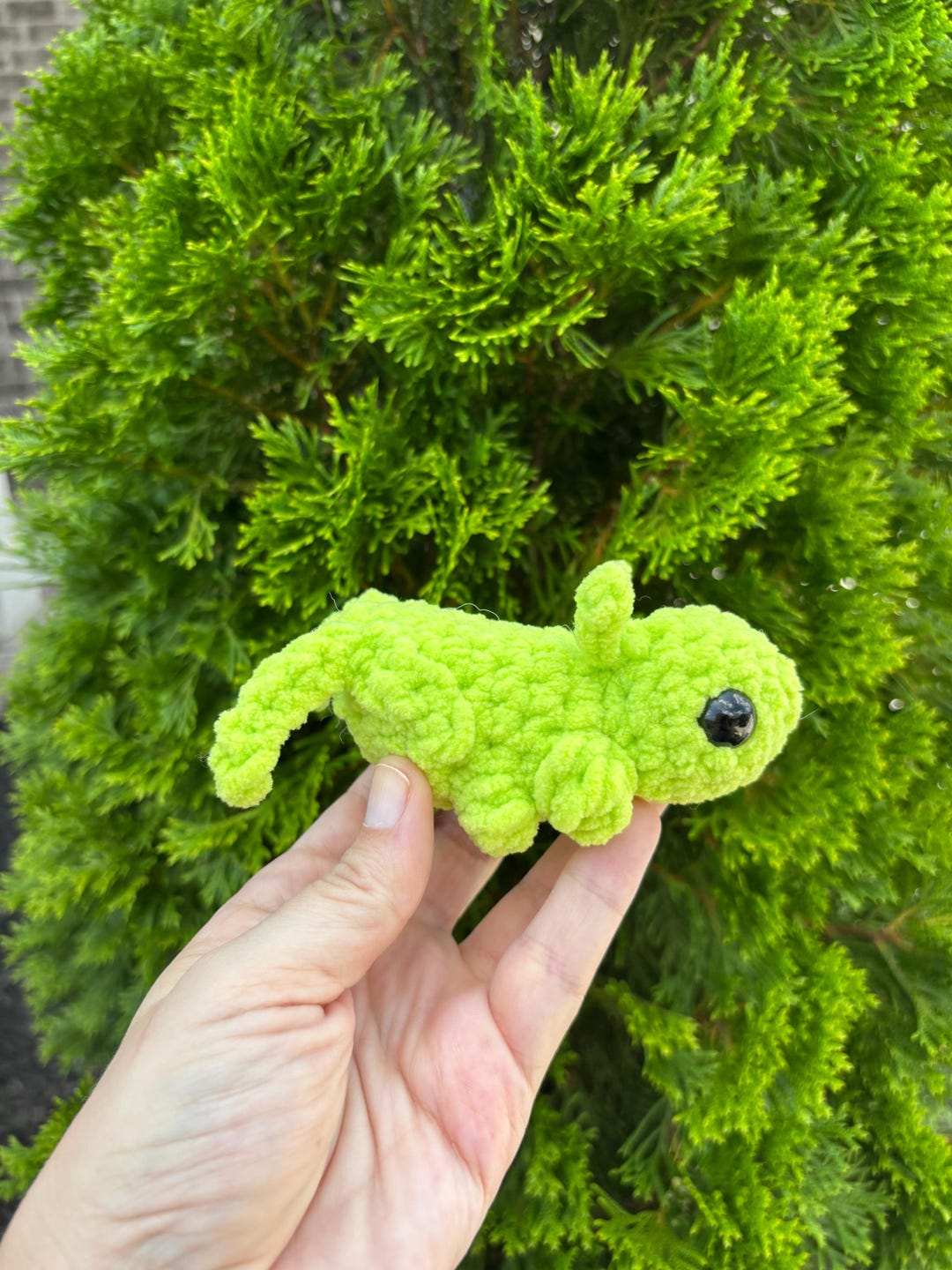 Handmade Crochet Amigurumi Grasshopper Plushie - Etsy