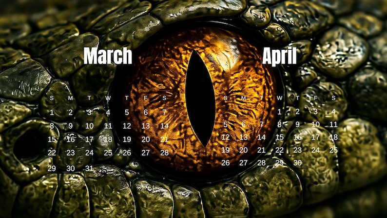 2026 Snake Eye Calendar – Printable PDF (digital Download) - Etsy