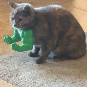 3d Print Muscle Arms for Cat - Etsy