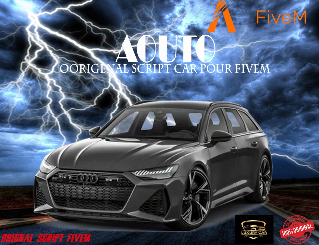 Audi R6 VIP Original Fivem - Etsy