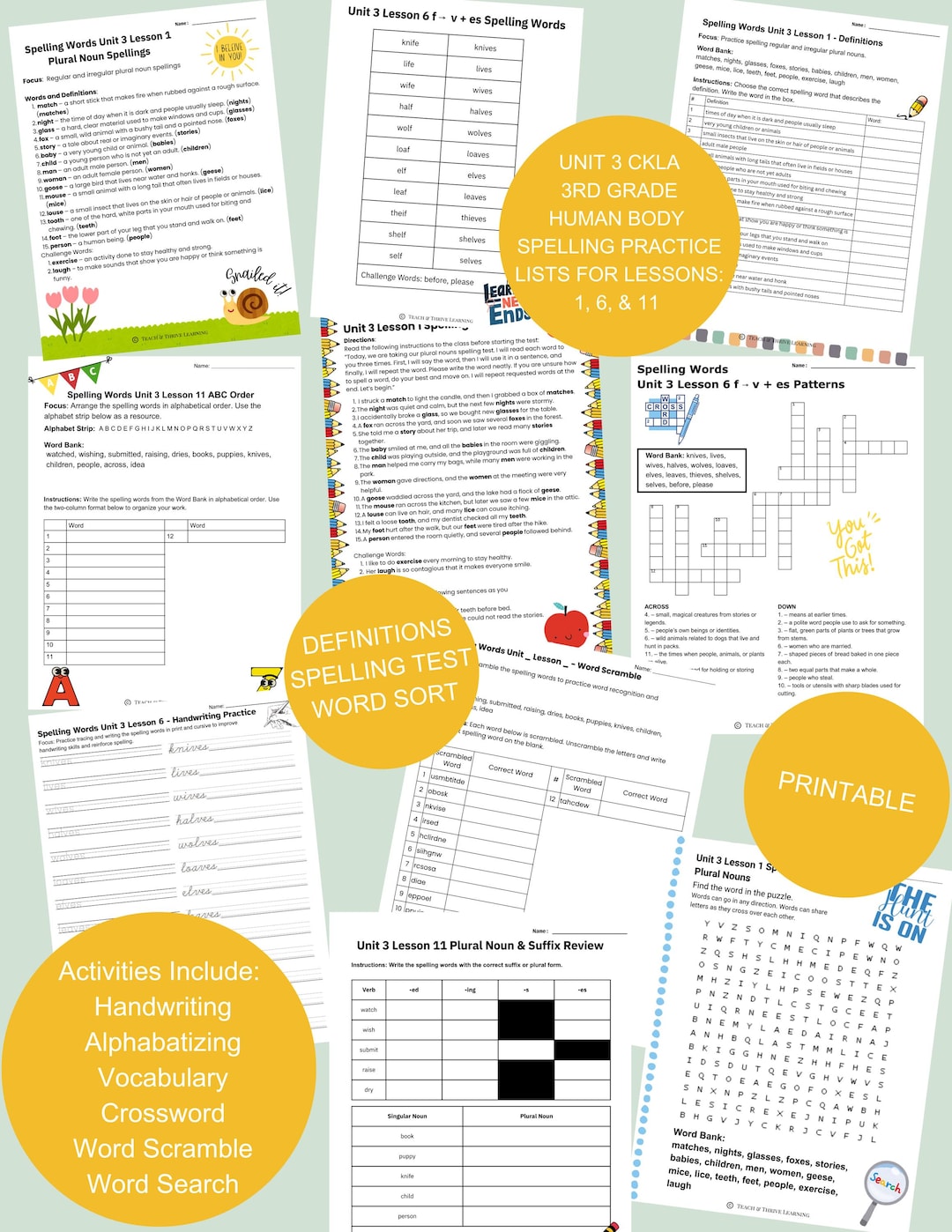 CKLA Grade 3 Spelling Activities | Unit 3 Lessons 1, 6, 11 Lists ...