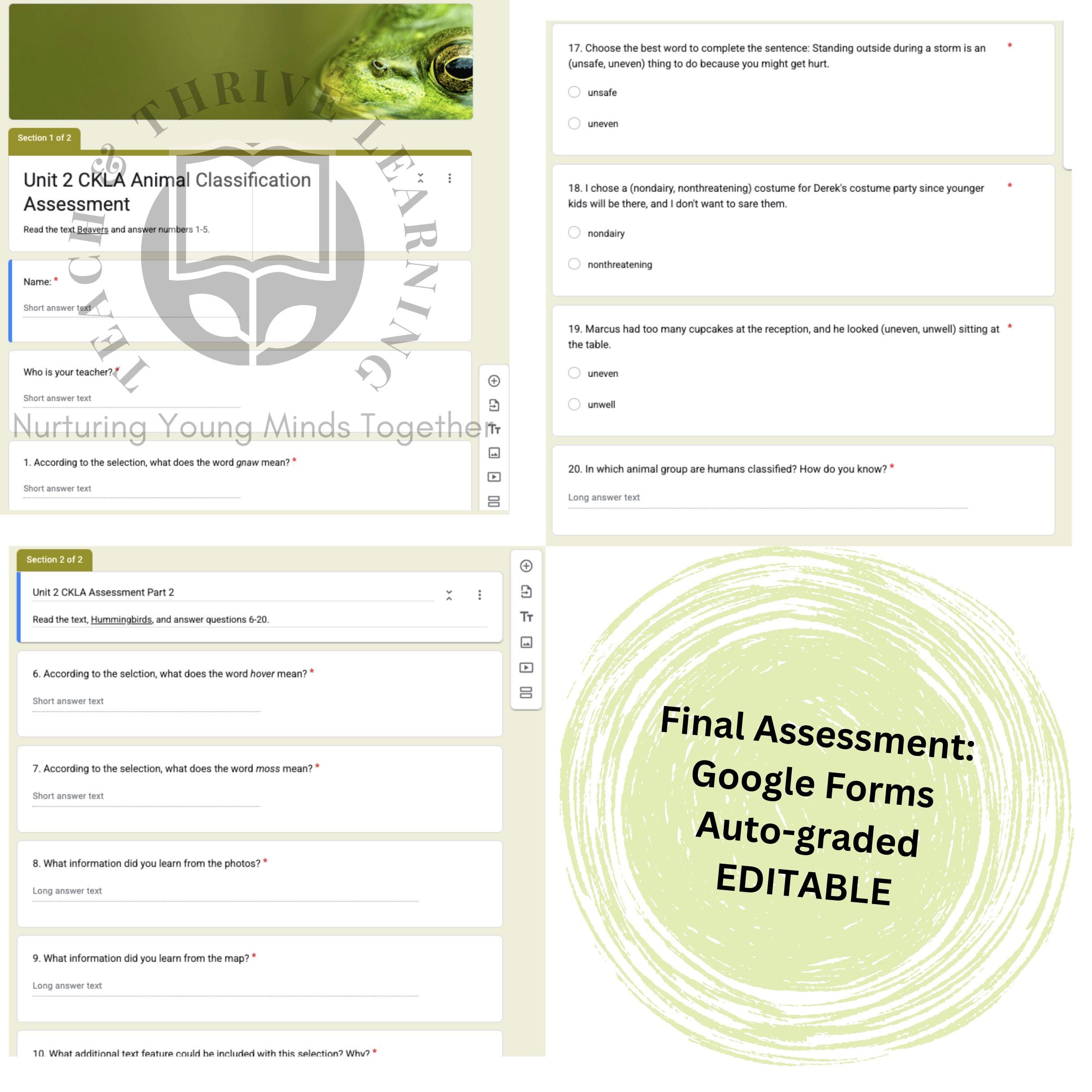 3rd Grade CKLA Animal Classification: Writing Rubric & Assessment ...