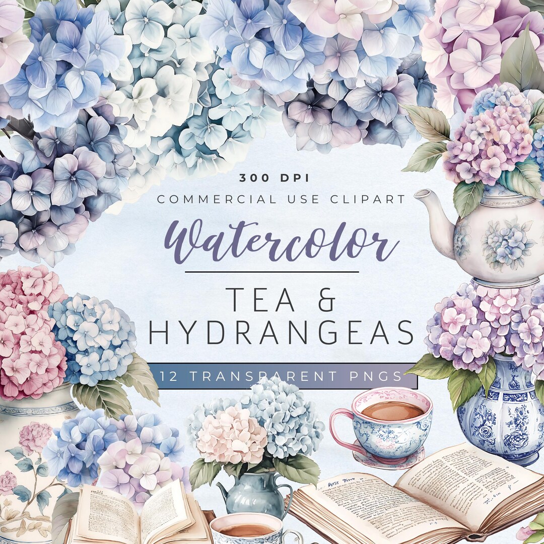 Watercolour Hydrangeas Clipart, Tea and Flowers Clipart, Watercolor ...