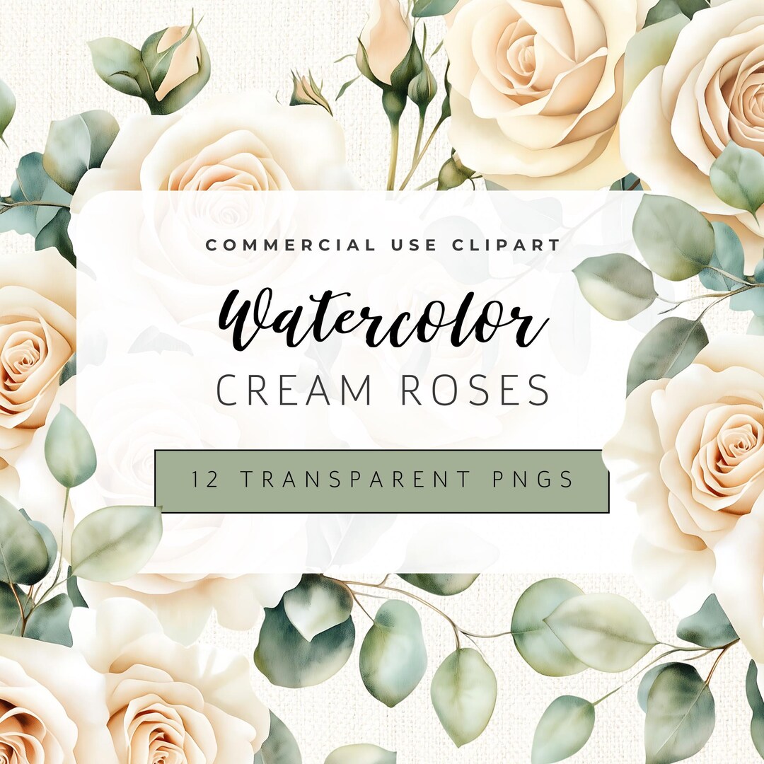 Creamy Rose Clipart Set – Rustic White Roses Clipart – Blush Ivory ...