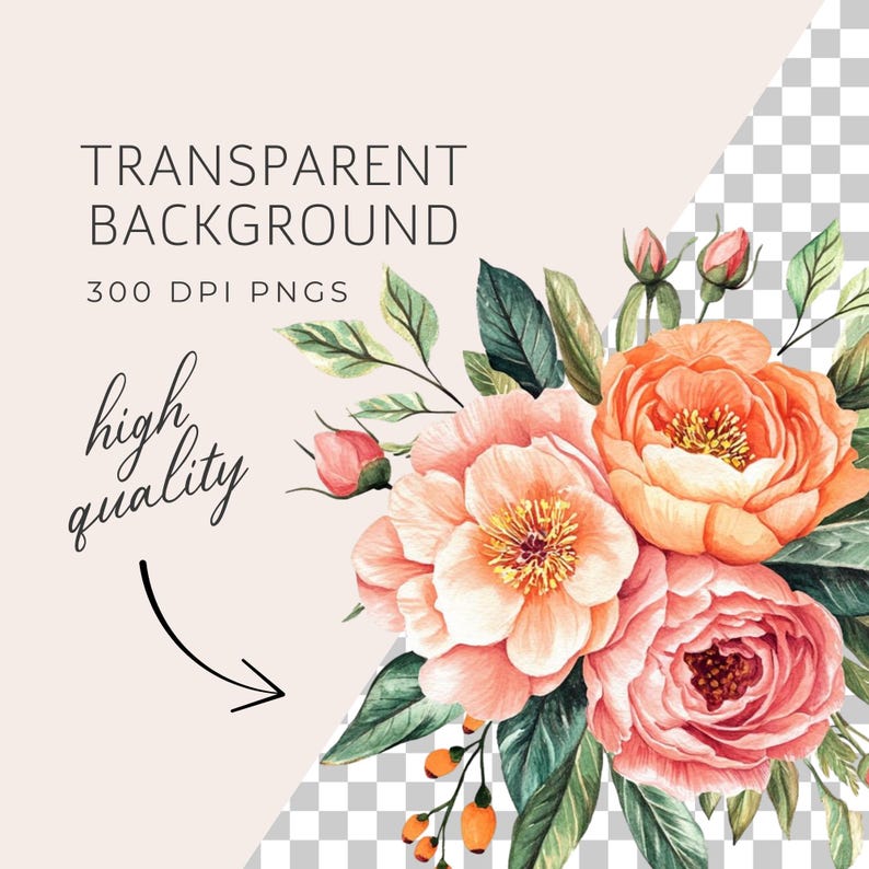 Pink & Orange Watercolor Floral Clipart | Roses and Peonies Flower PNG ...
