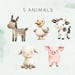 Farm Friends Clipart: 12 Watercolor Farm Animal Pngs (digital Download ...