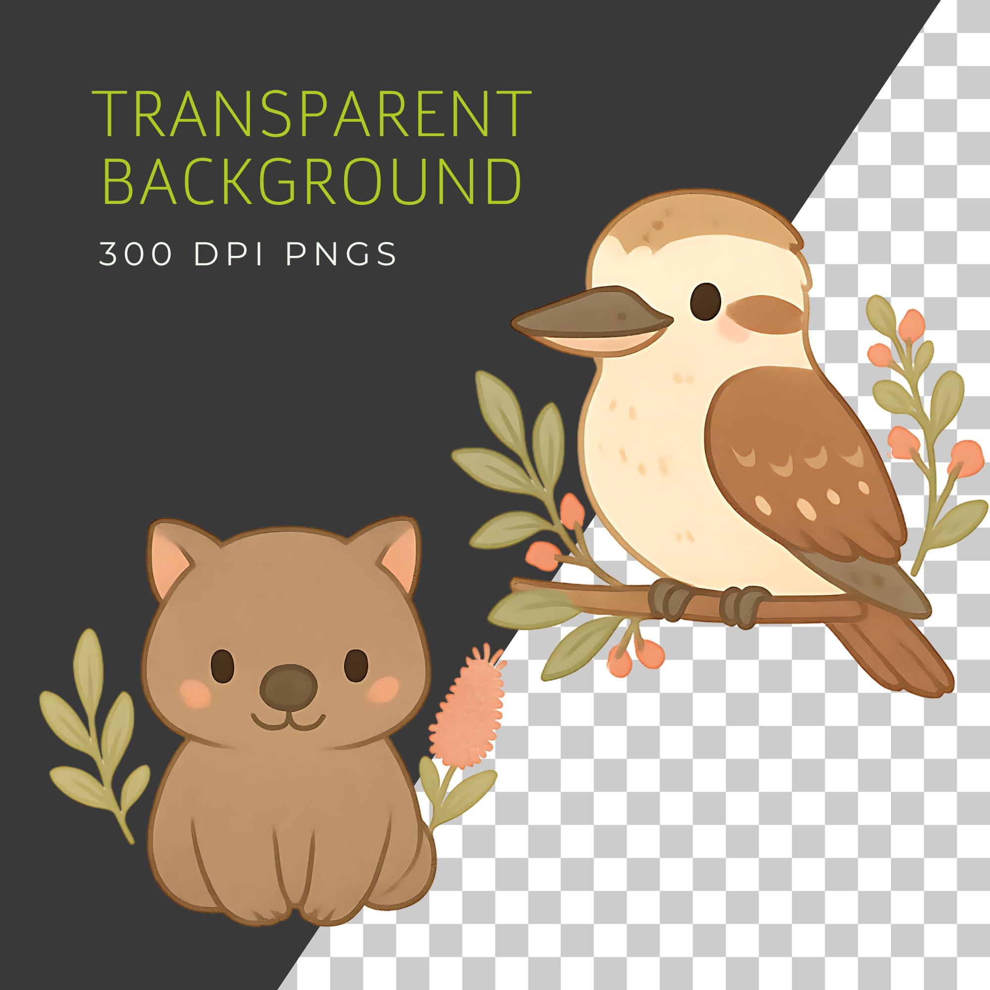 Kawaii Australian Animal Clipart Set – 12 Cute Aussie Wildlife Pngs ...