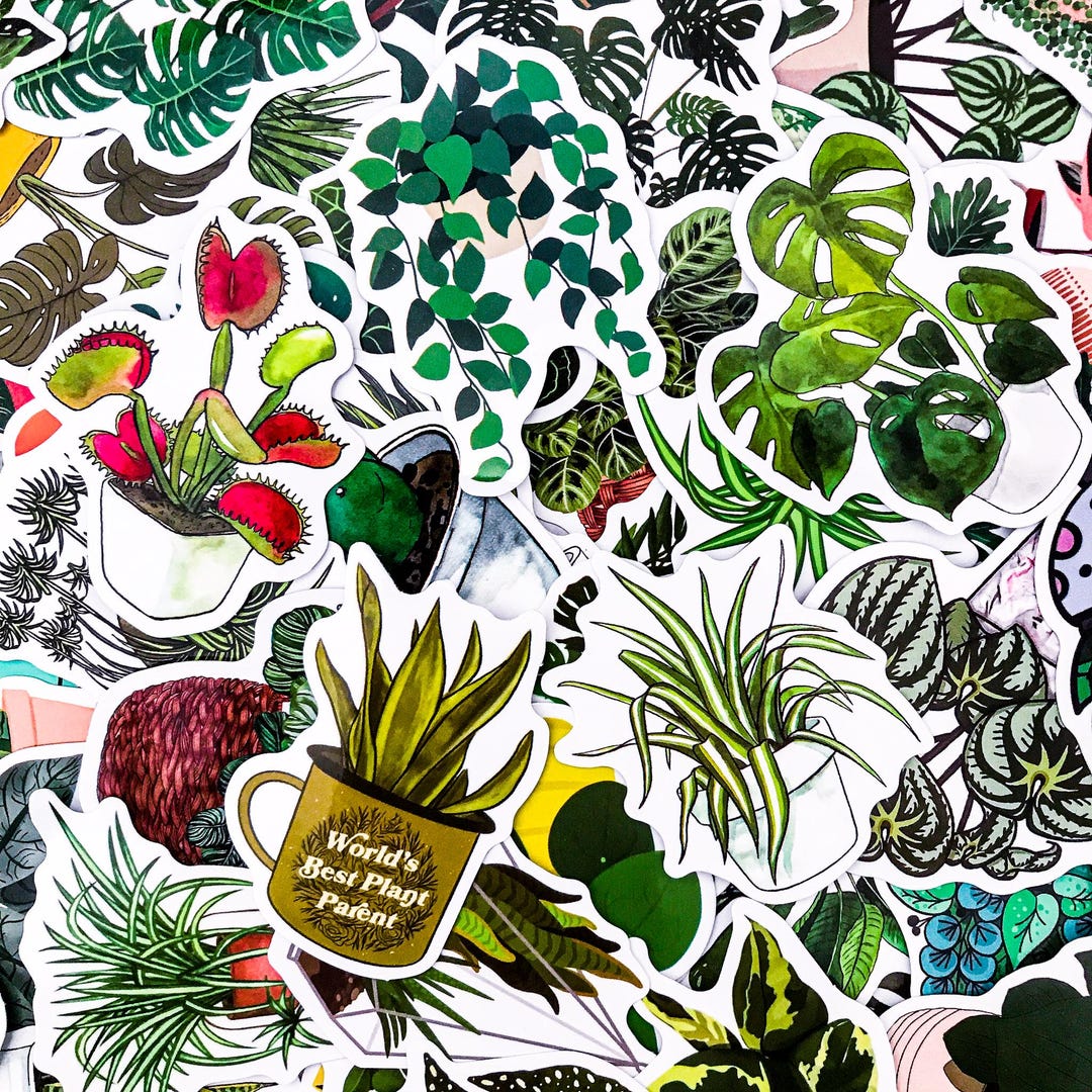 50 PCS Greenery Stickers Pack, Botanical Stickers, Waterproof Stickers ...