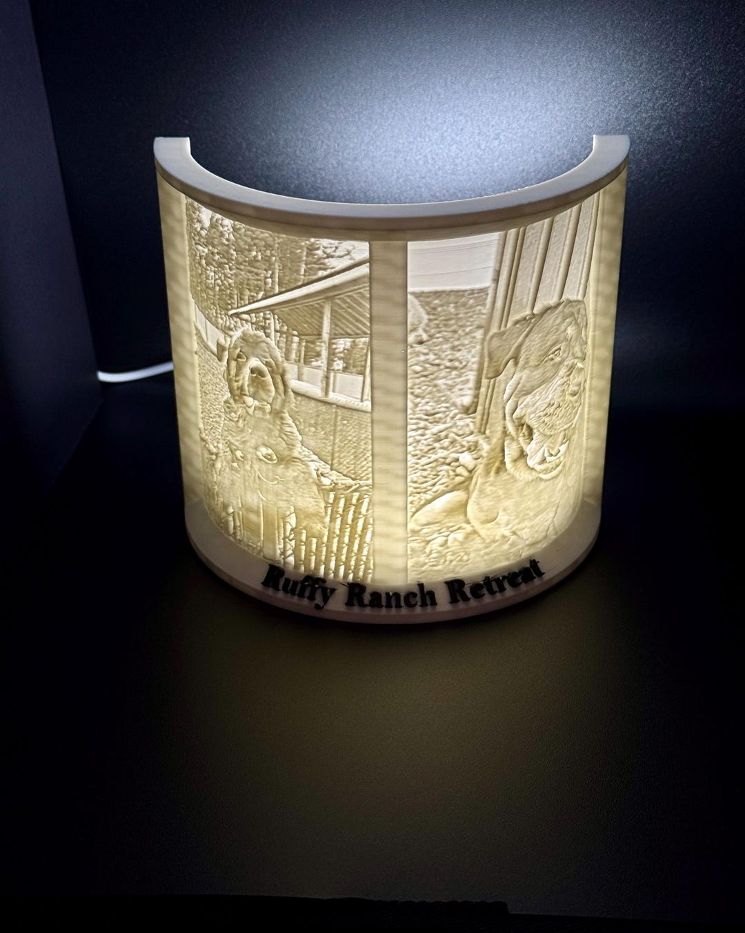 Custom Half Cylinder 3D Printed Lithophane With LED Light ...