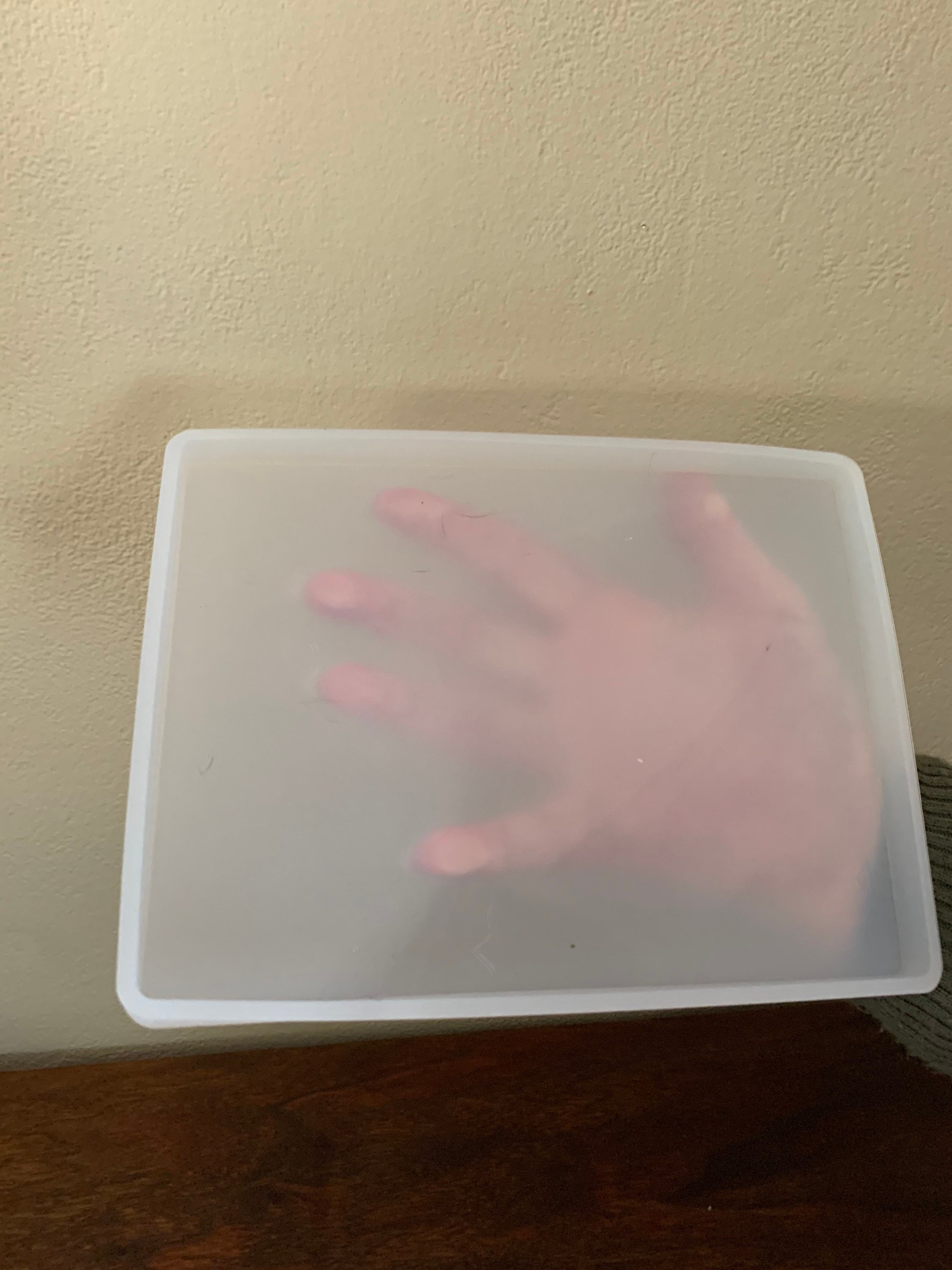 Large Medium Rectangle Mold for Diy Crafts 1/4 Deep Please | Etsy