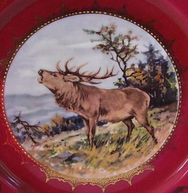 Elk Collector Plate S.T. W Bavaria Germany, Wild Animal Plate, Gold ...