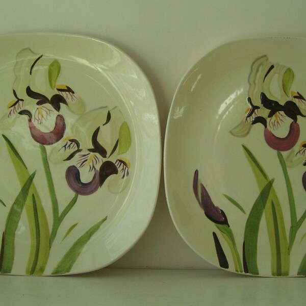 Red Wing Plates - Etsy